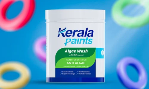 Algae Wash – Kerala Paints